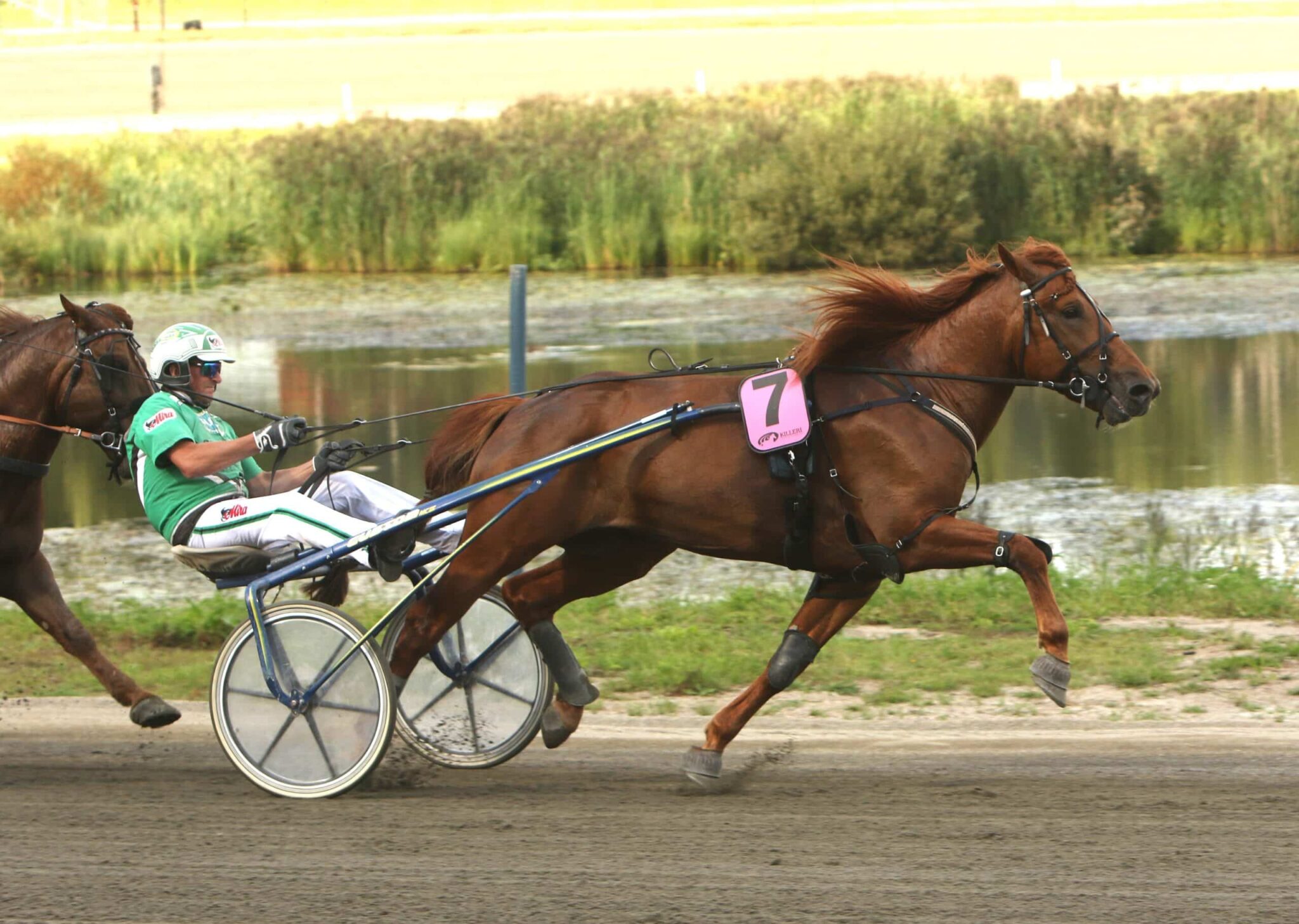 Päivän ravit: Suomessa ravien pariin palataan Seinäjoella – Solvallassa ...