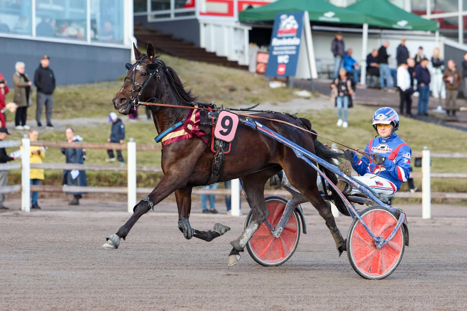 Päivän ravit: Suomessa tuplasti seurattavaa - Atleetti.fi