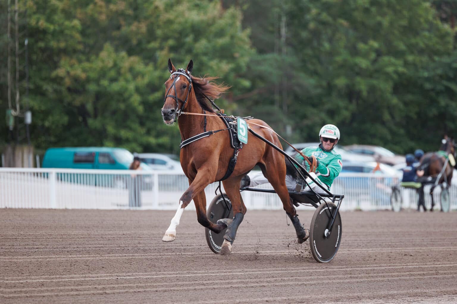 Janita Antti-Roiko saa konkarit liitoon - Atleetti.fi
